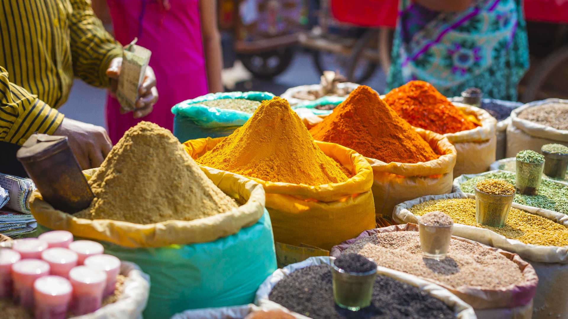 Taste of India by Private Car | IWorld of Travel